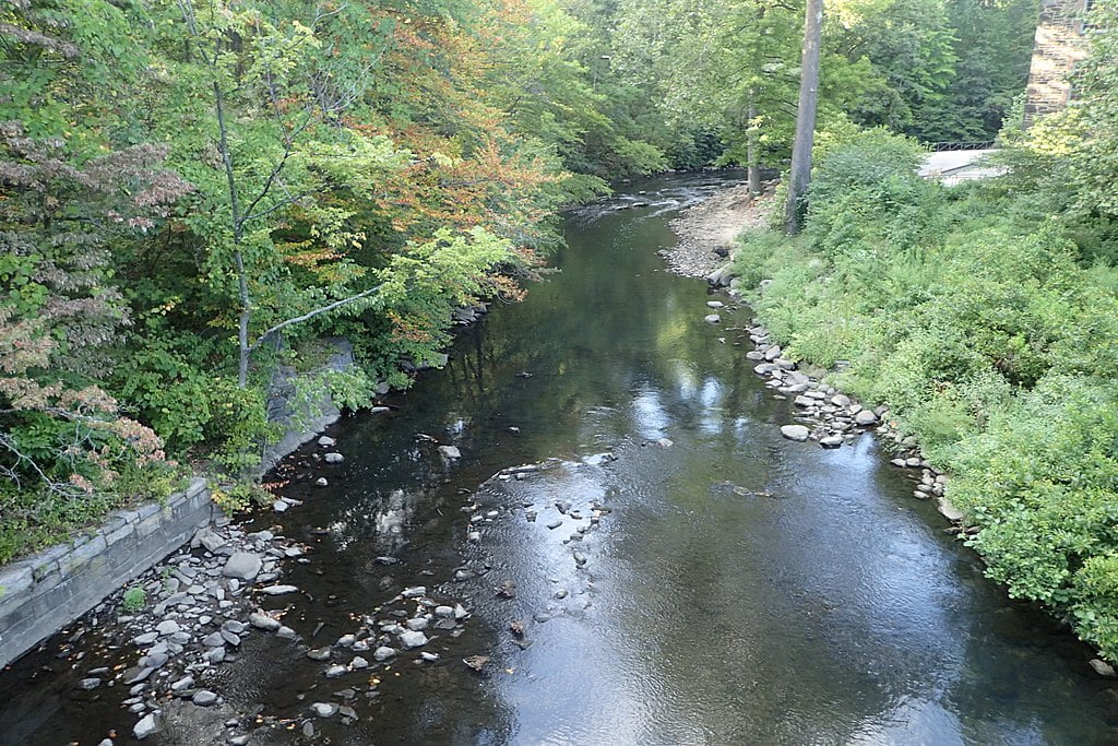 Bronx River Alliance - La Guía De Nueva York